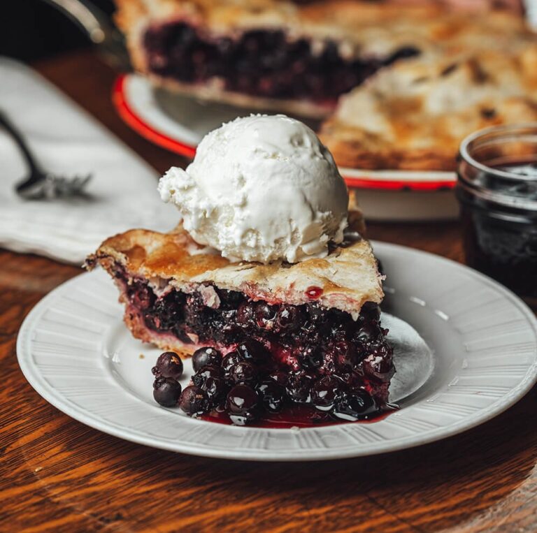 Saskatoon Berry Pie - Elle Gourmet